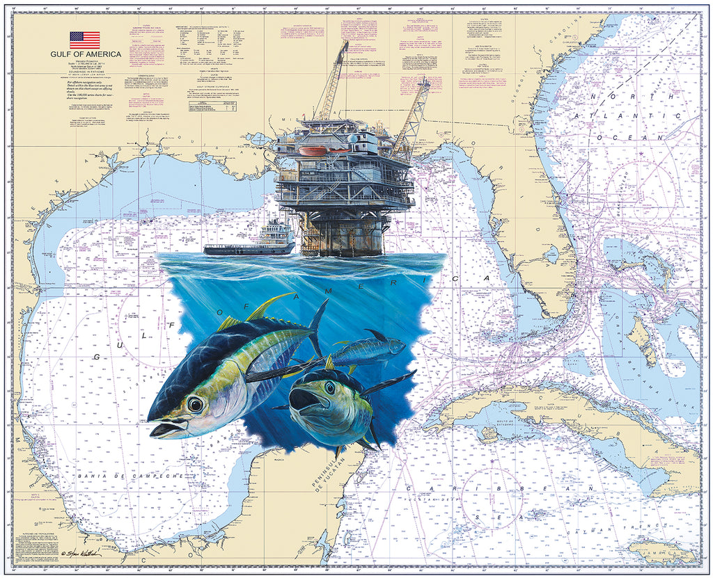 Gulf of America Chart Art | Steve Whitlock Game Fish Art Inc