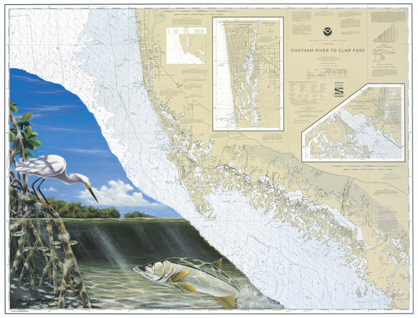 Chart Art | Everglades Snook | Steve Whitlock Game Fish Art – Steve ...